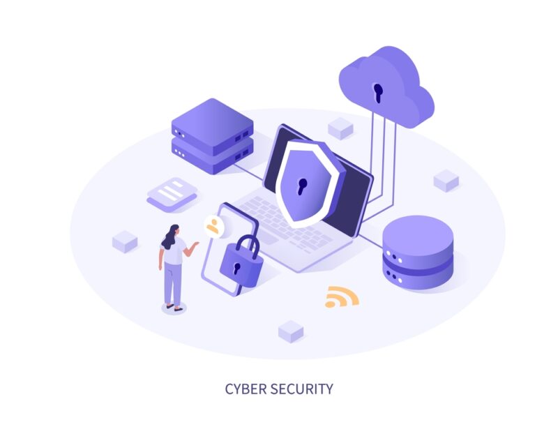 The Crucial Role of Security Validation: Safeguard Digital